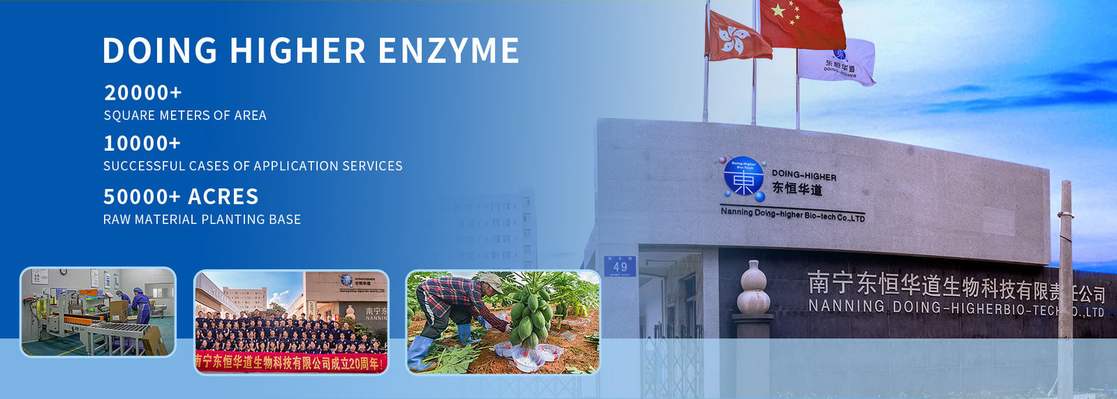 Doing-higher Enzyme Protease manufacturer from China